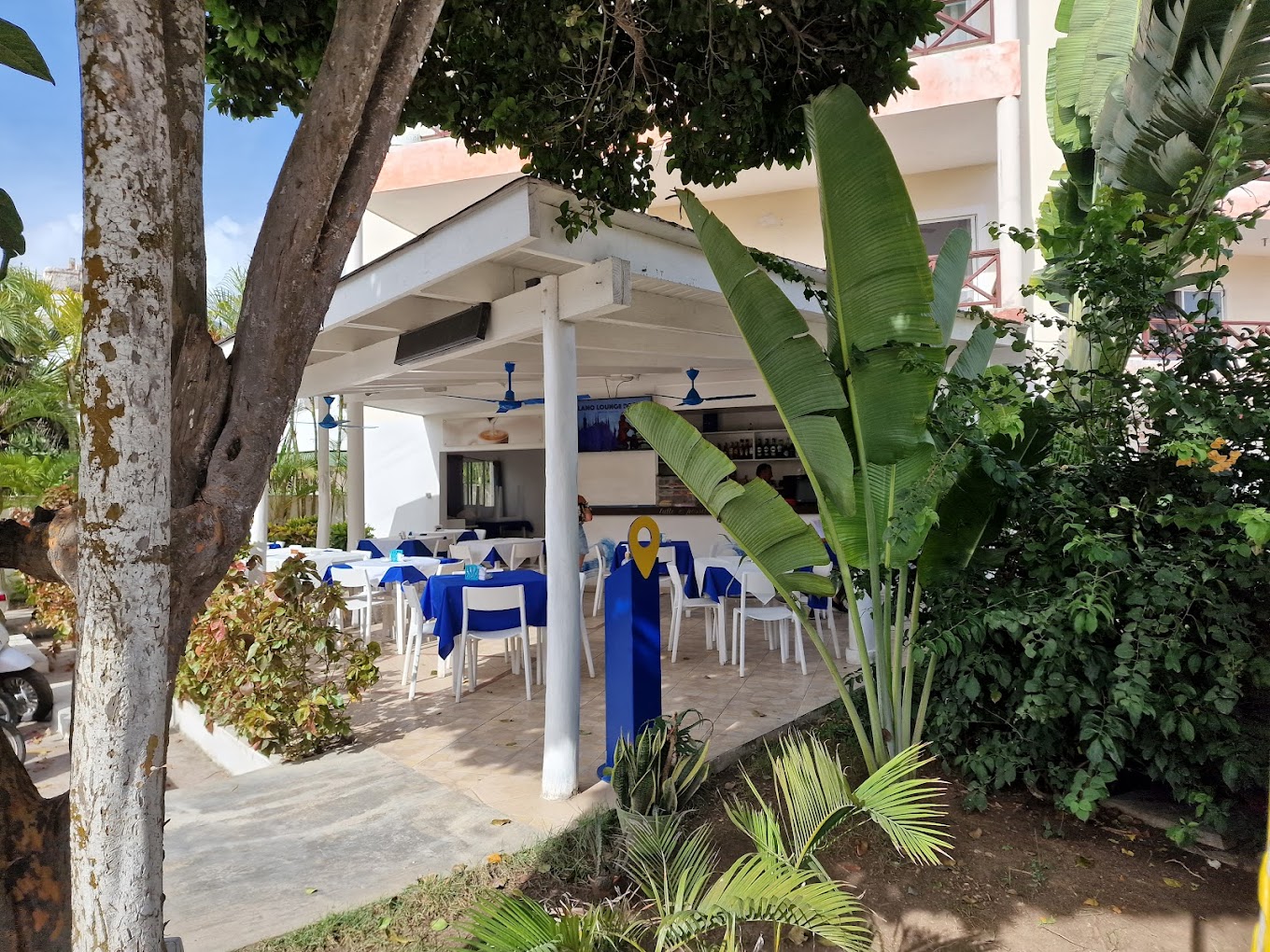 Blu Cafe Restaurant - Dominicus - Discover Dominicus Americanus – Your ...